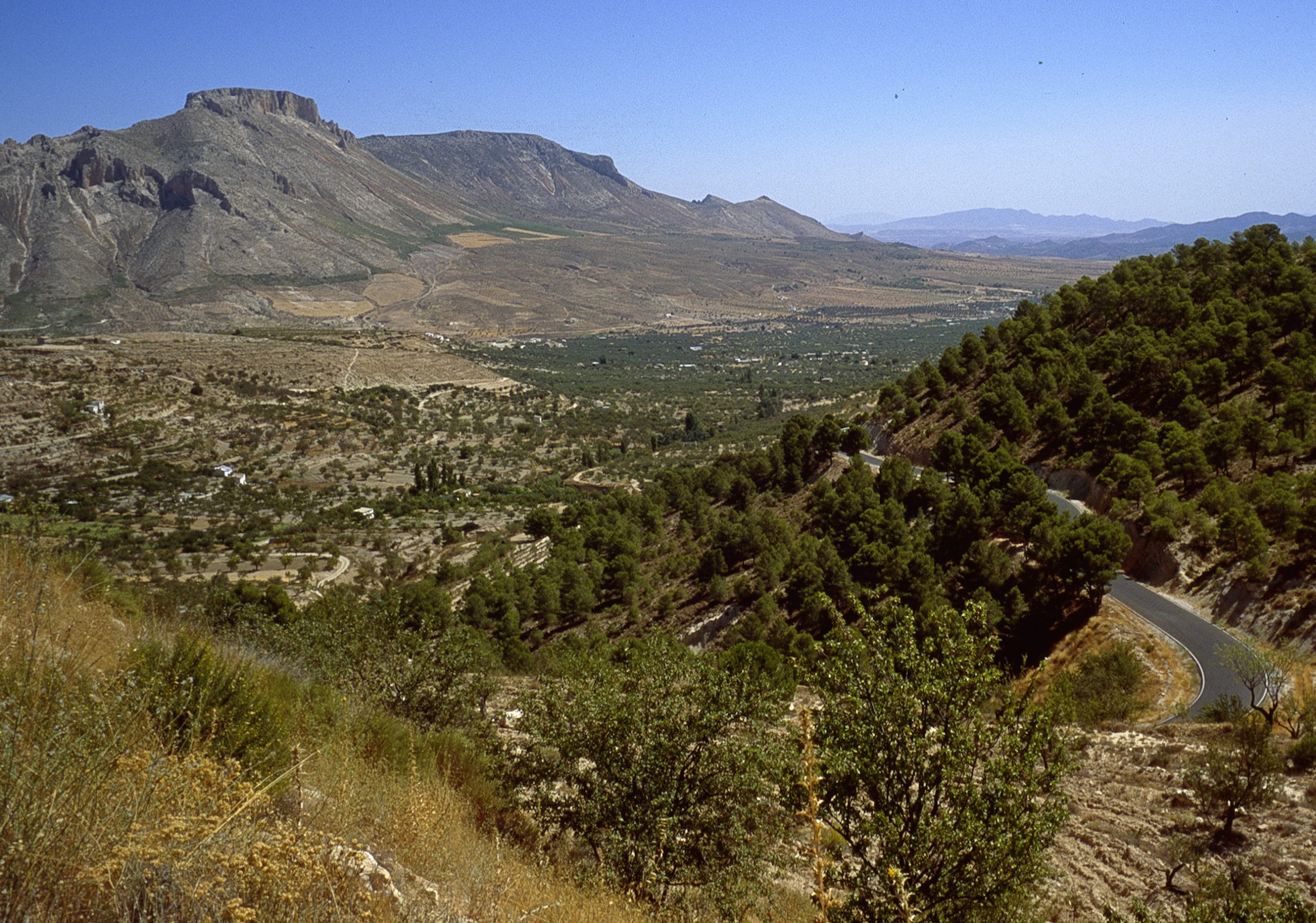La Sierra María - Ruidocero